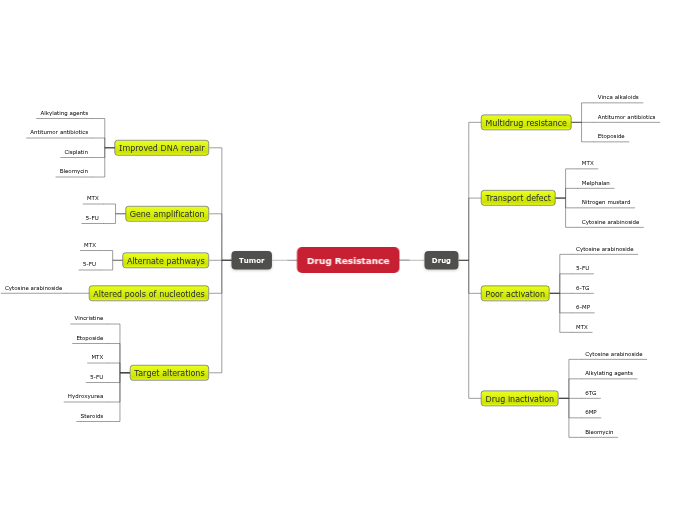 Drug Resistance - Mind Map